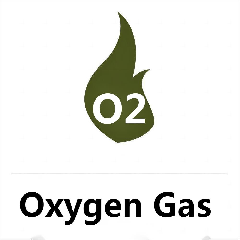 China Industrial Pure O2 Oxygen Cylinder Gas O2 Gas Oxygen